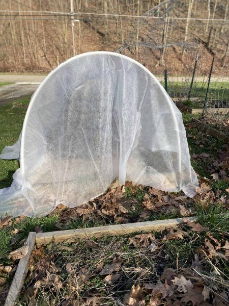 $20 Simple DIY Mini Hoop House » Homesteading Where You Are