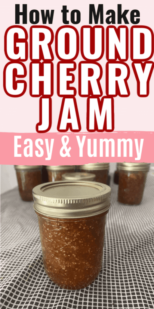 Deliciously Sweet Ground Cherry Jam » Homesteading Where You Are