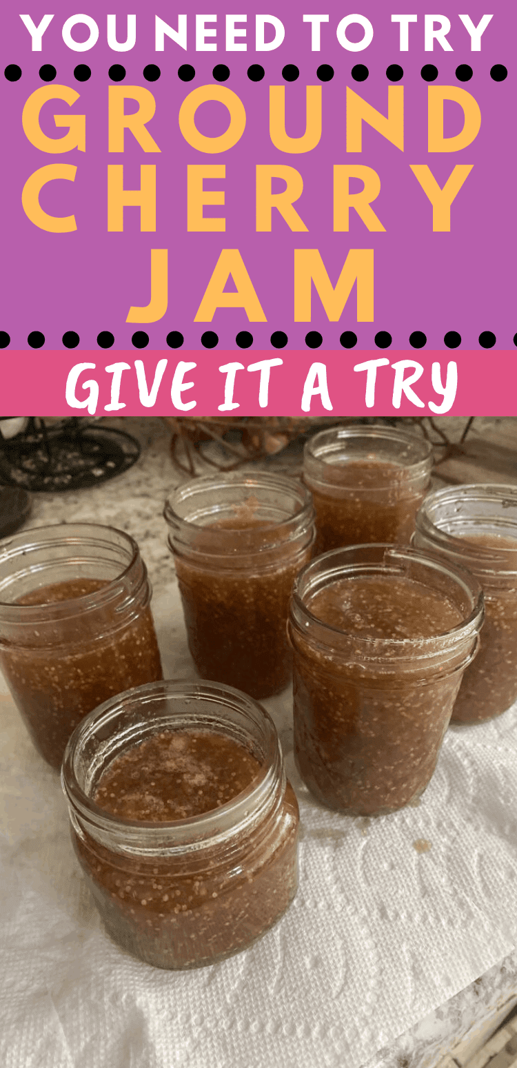 Deliciously Sweet Ground Cherry Jam » Homesteading Where You Are