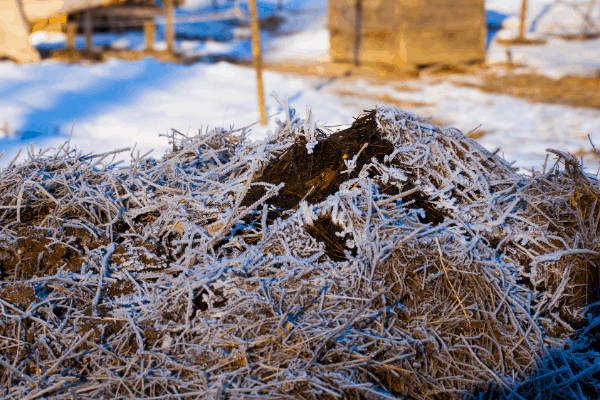 8 Winter Composting Tips: How to Compost Year Round » Homesteading Where You Are