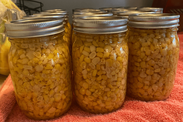How to Can Corn: Raw Pack Method for Long-Term Storage