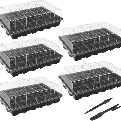 7 Best Seed Trays and Pots for Starting Seeds at Home