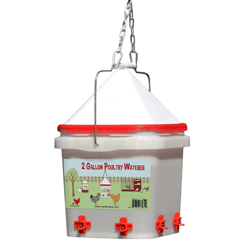 8 Best Chicken Waterers for Your Flock » Homesteading Where You Are