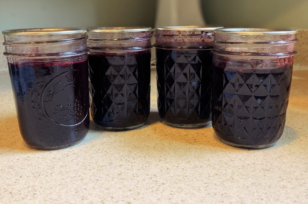 55 Delicious & Unique Jam and Jelly Recipes
