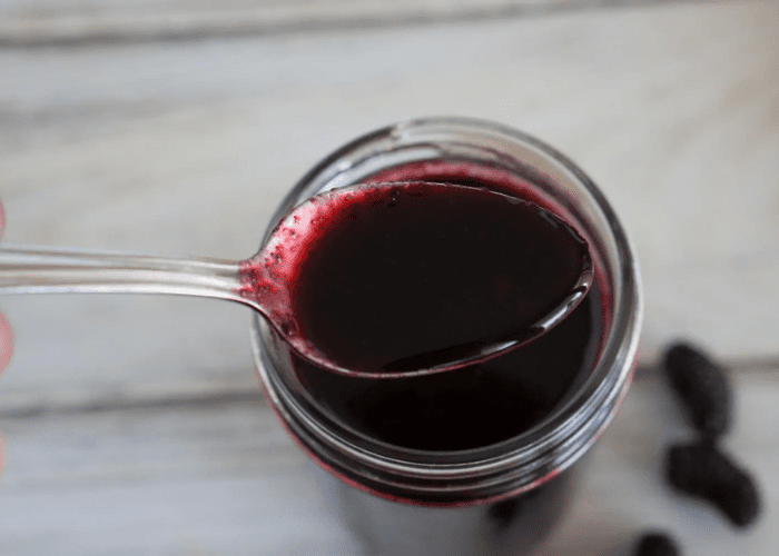 21 Delicious Mulberry Recipes You Need to Try