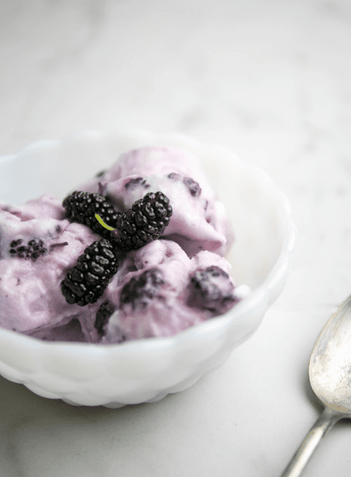 21 Delicious Mulberry Recipes You Need to Try