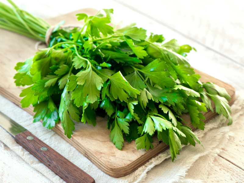 16 Christmas Herbs for the Perfect Seasonal Scent