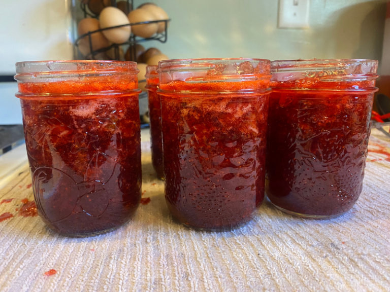 55 Delicious & Unique Jam and Jelly Recipes