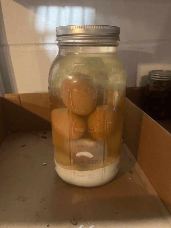 Water Glassing Eggs: How to Store Eggs Long Term