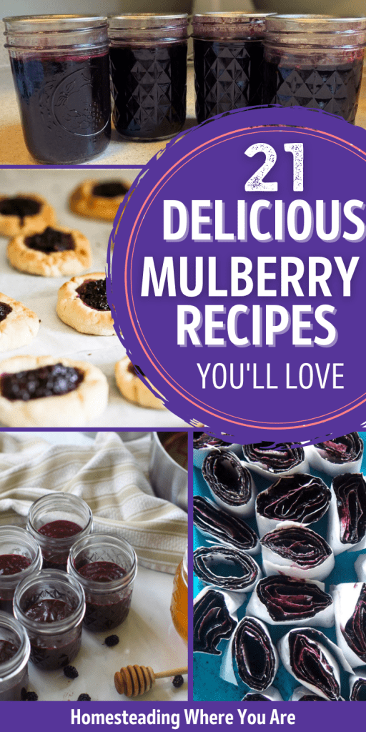 21 Delicious Mulberry Recipes You Need to Try
