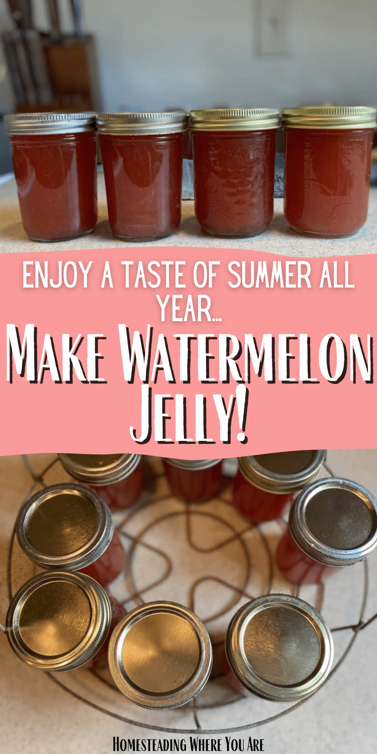 Watermelon Jelly Recipe