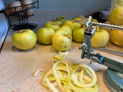 How to Dehydrate Apples: Savor the Flavor of Fall All Year