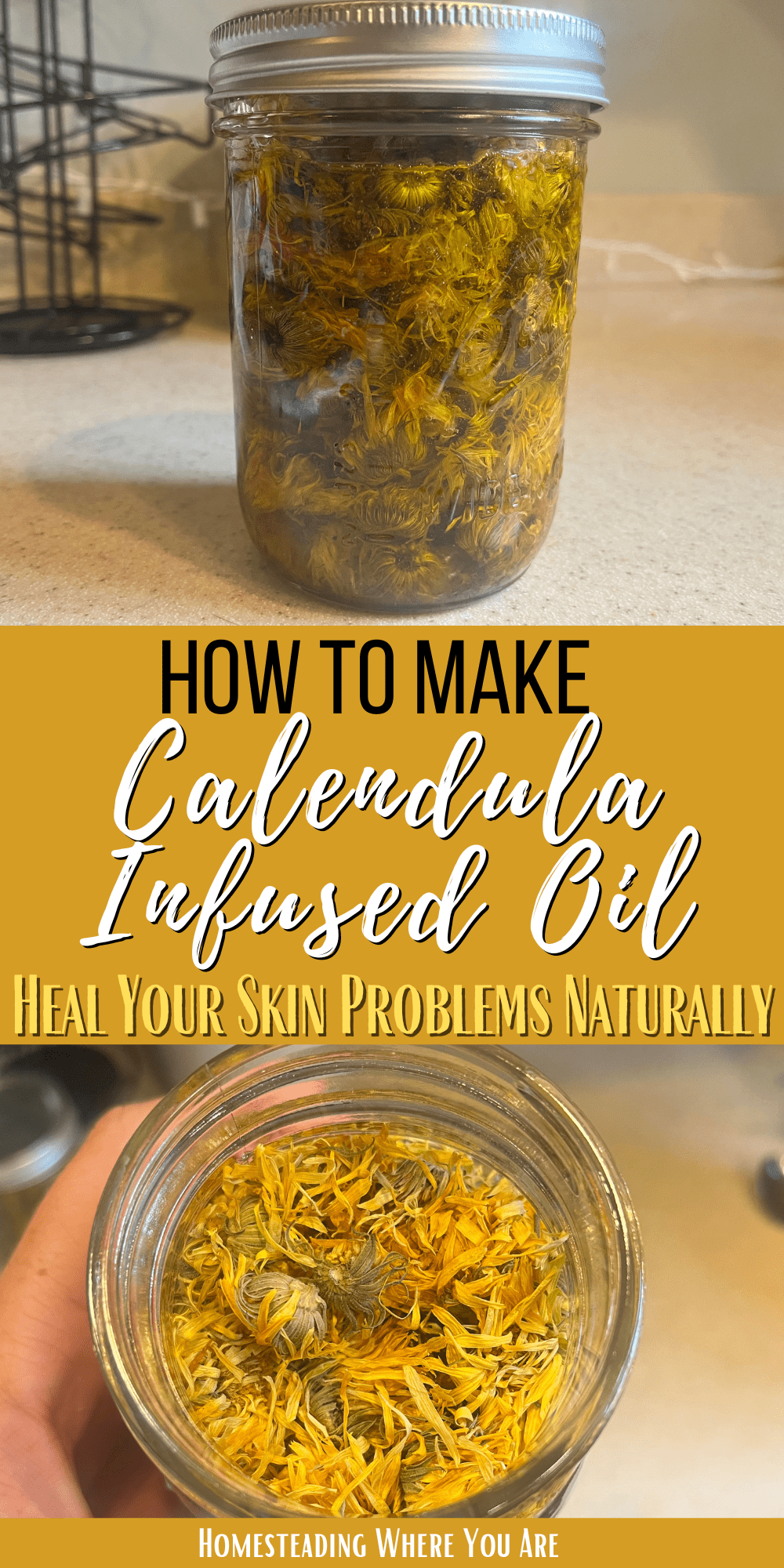 How to Make Calendula Oil & 10 Ways to Use It