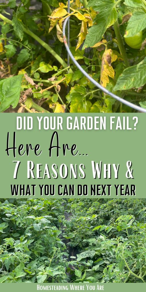 My Garden Failed! 7 Reasons Why and How to Fix It Next Year