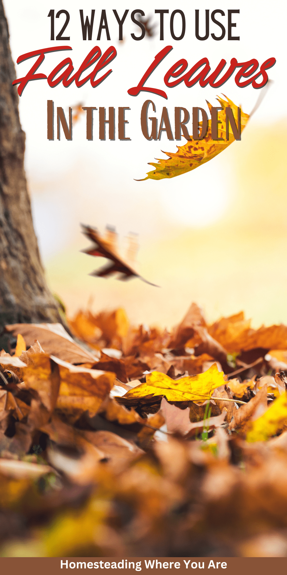 12 Different Ways to Use Fall Leaves in the Garden