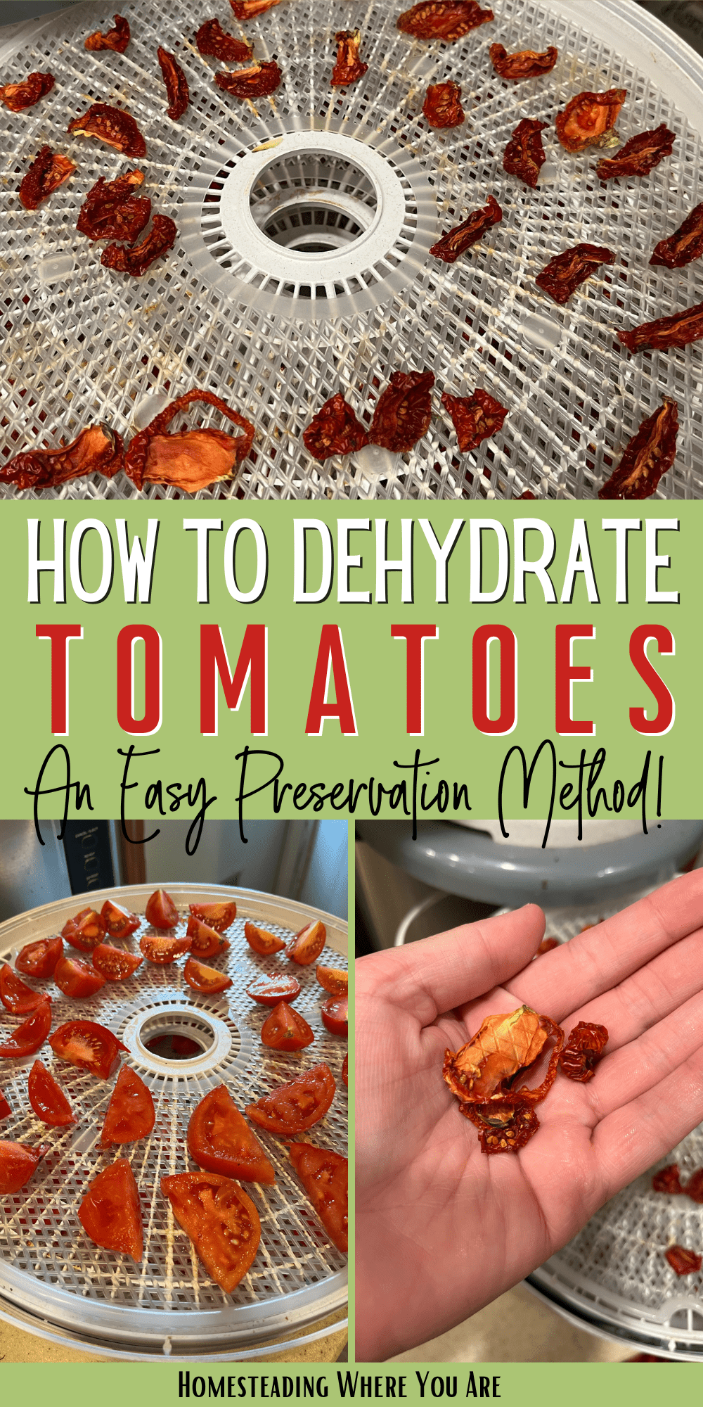 How to Dehydrate Tomatoes: An Easy Preservation Method