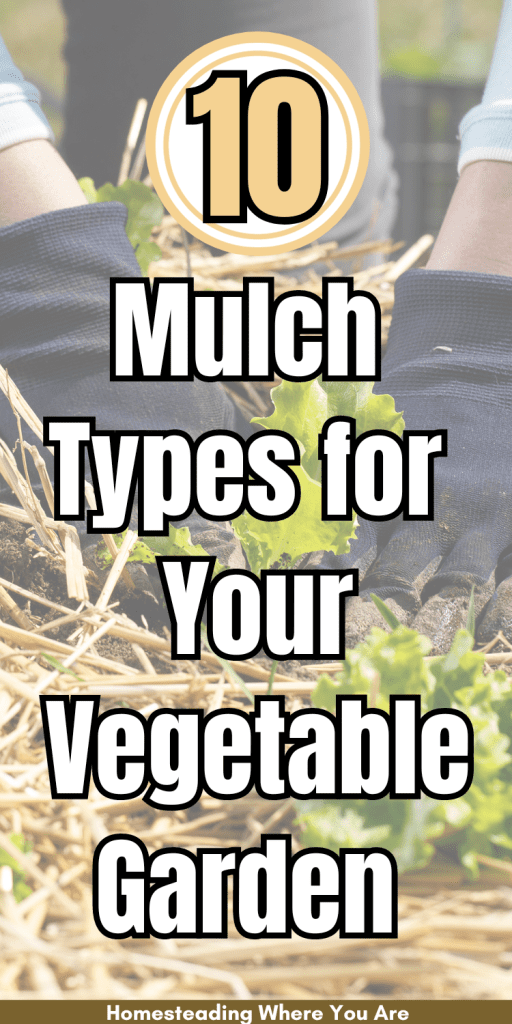 10 Best Mulch for a Vegetable Garden