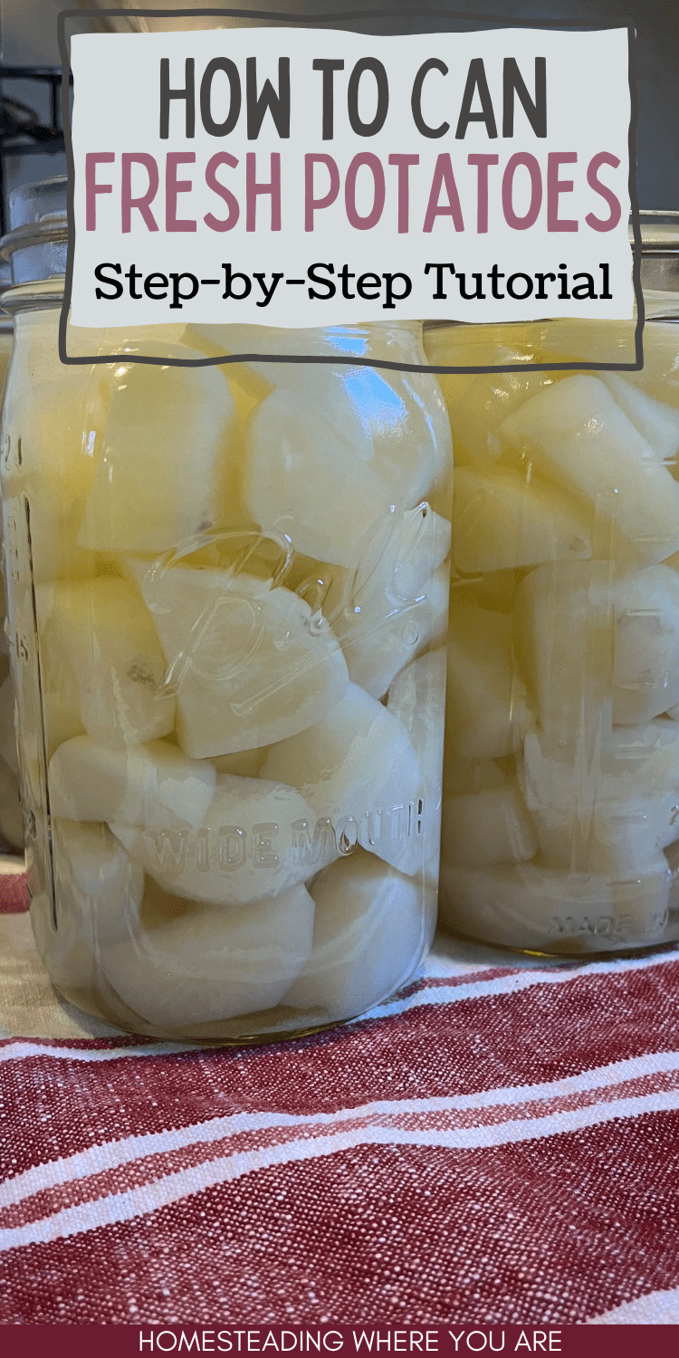 Canning Potatoes: Easy Home-Canned Potatoes