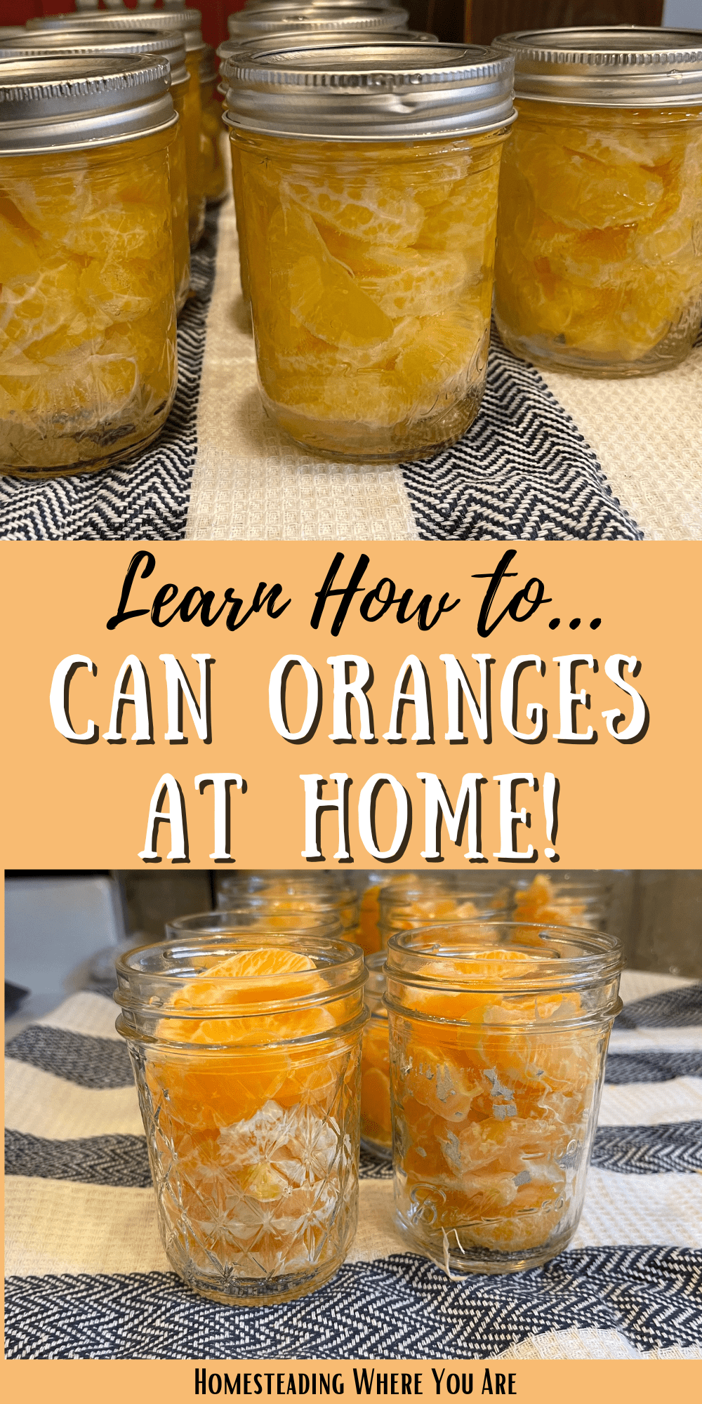 Canning Oranges: How to Can Mandarin Oranges