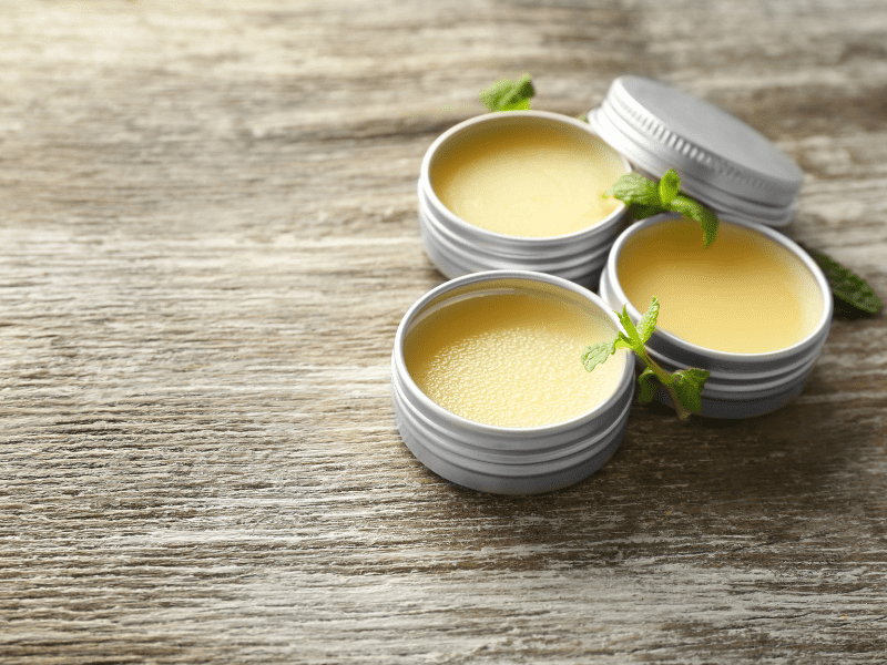 16+ Different Ways to Use Lemon Balm
