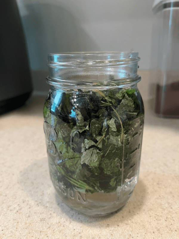 16+ Different Ways to Use Lemon Balm