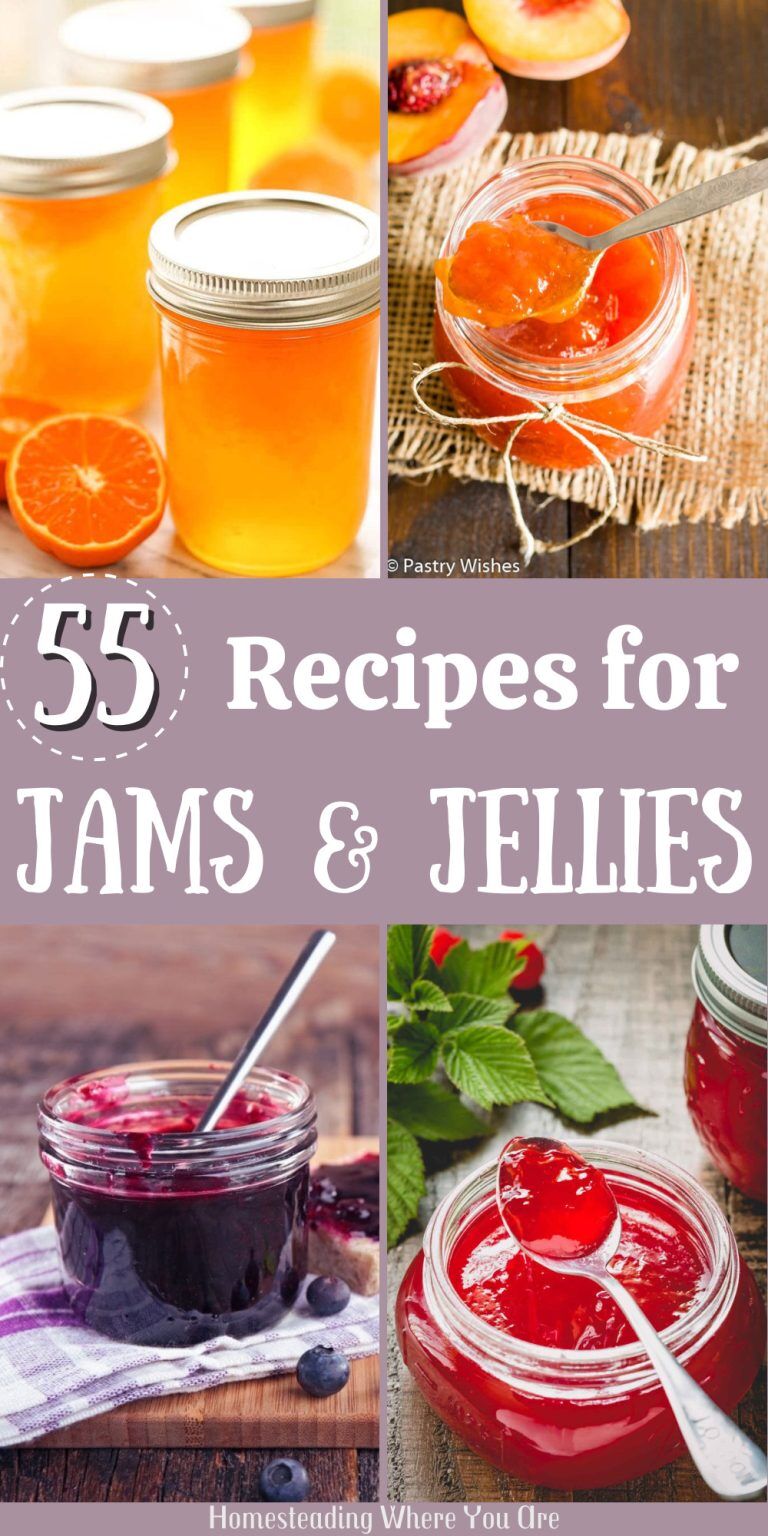 55 Delicious & Unique Jam and Jelly Recipes