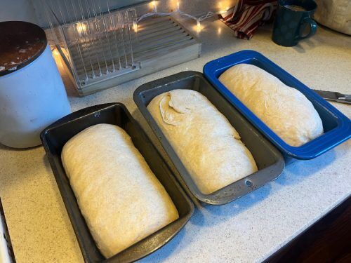 11 Winter Homesteading Tasks: January to March