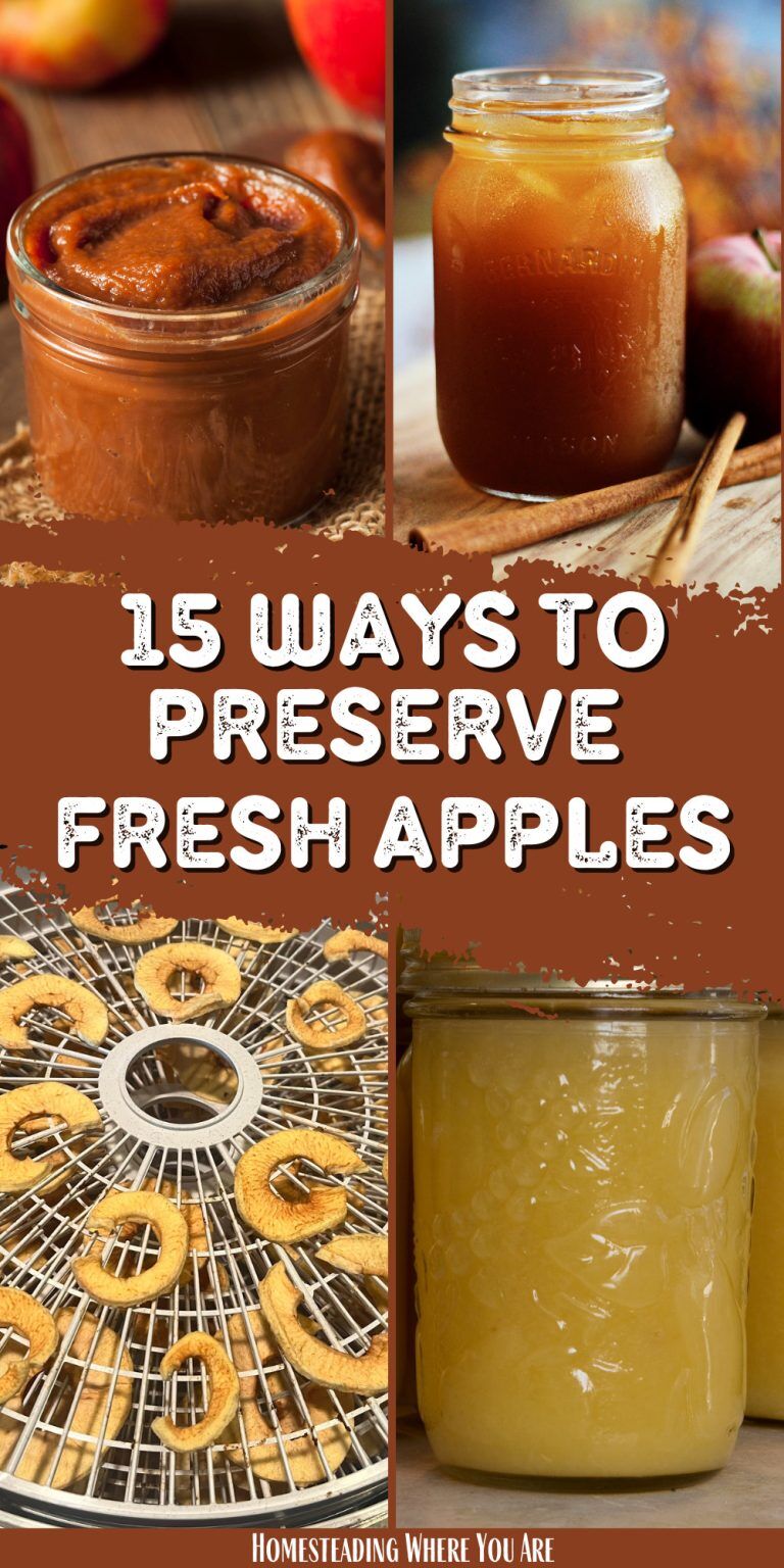 15 Ways to Preserve Apples to Enjoy All Year