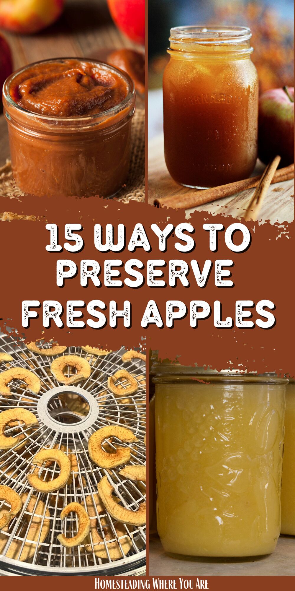 15 Ways to Preserve Apples to Enjoy All Year