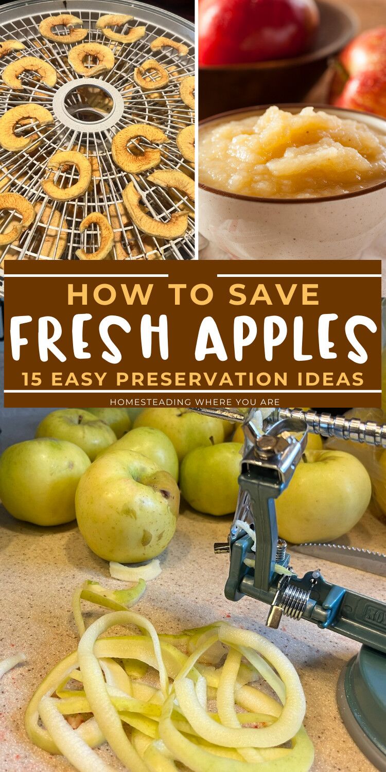 15 Ways to Preserve Apples to Enjoy All Year